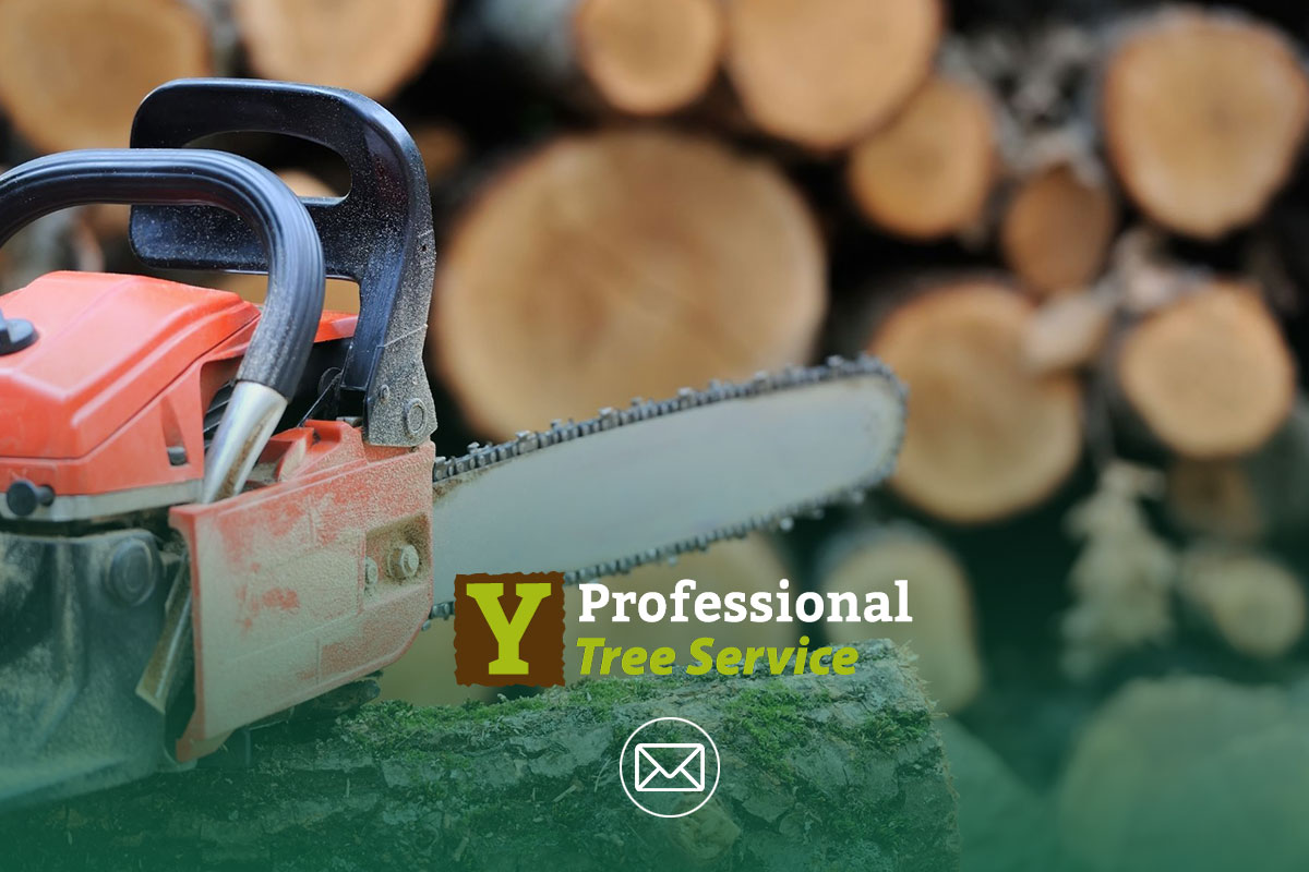 More Services - Y Professional Tree Service